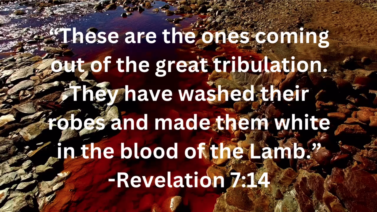 Washed in His Blood: Prophetic Insights on Spiritual and National ...