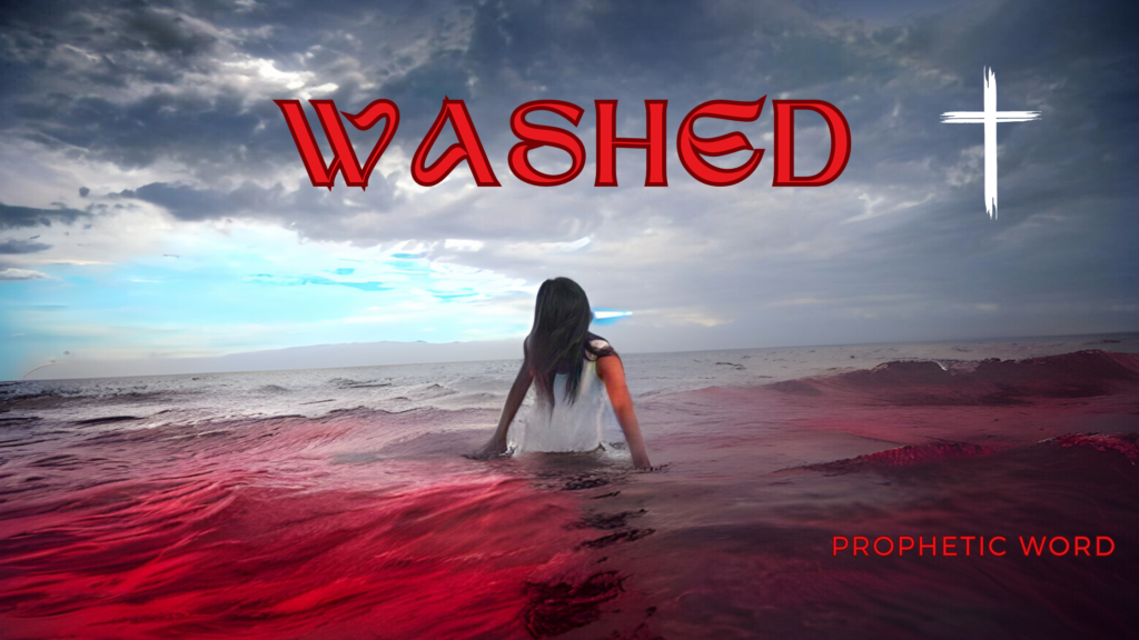 Washed in His Blood: Prophetic Insights on Spiritual and National ...